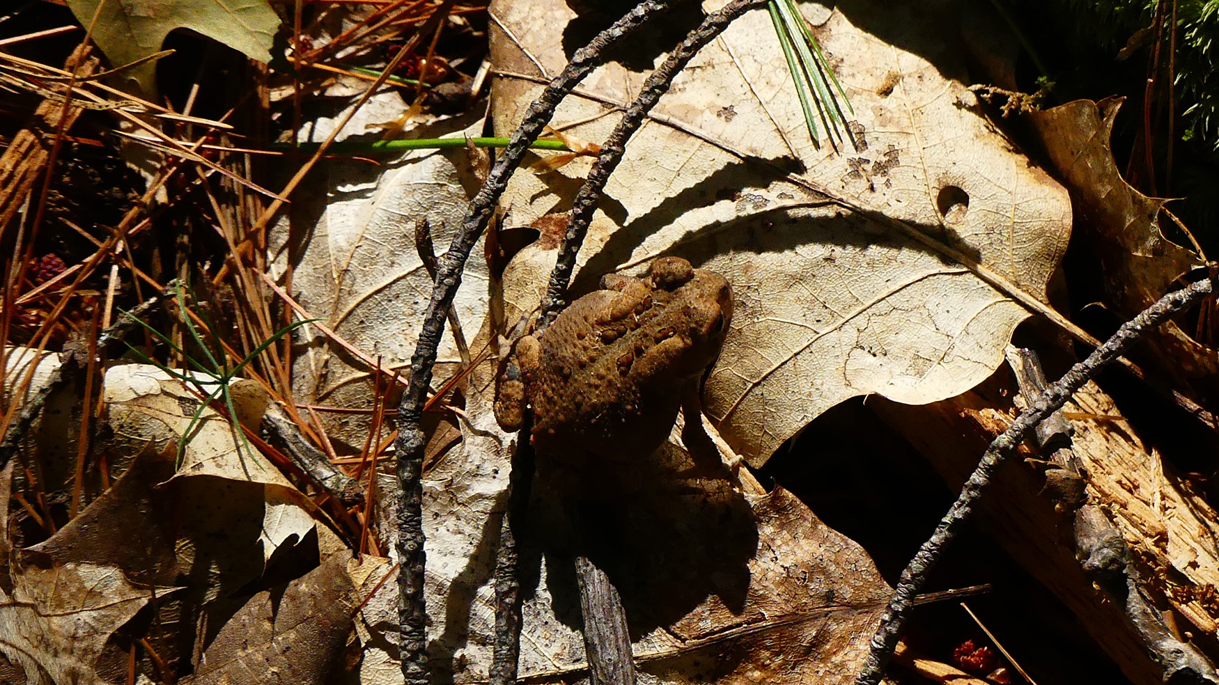 Exploring Point Grondine Park on Wikwemikong Unceded Territory ...