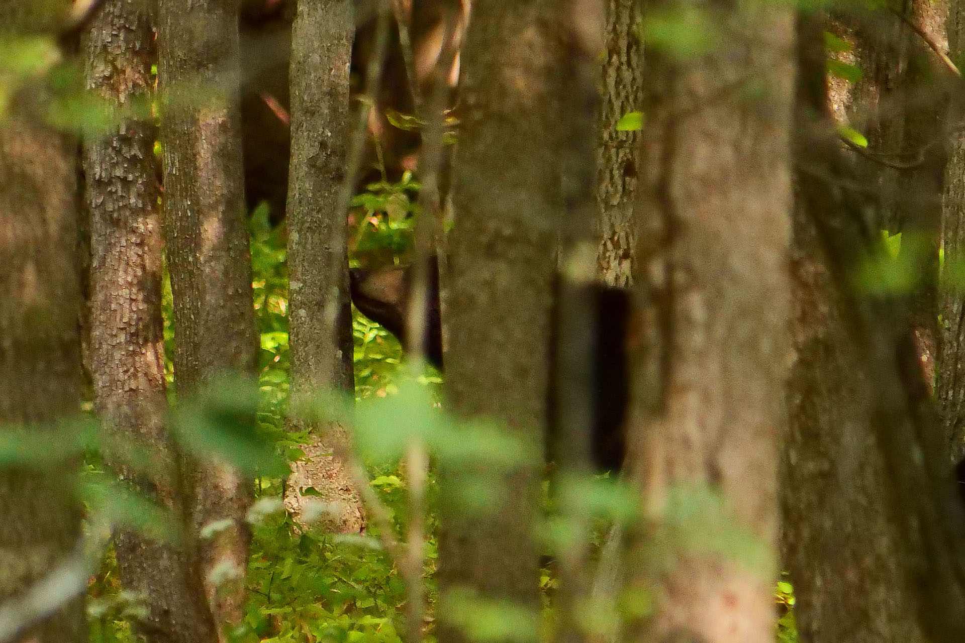 Exploring Point Grondine Park on Wikwemikong Unceded Territory ...