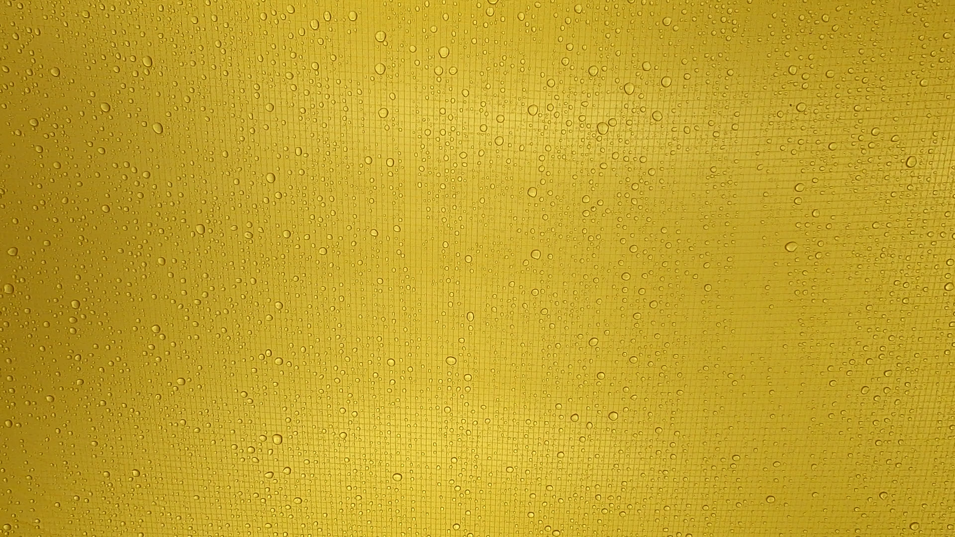 Exploring Point Grondine Park on Wikwemikong Unceded Territory ...