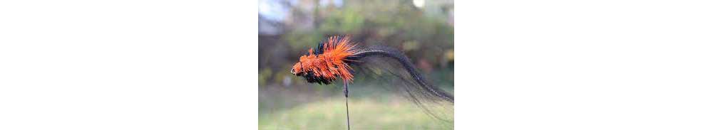 Proven Patterns for Giant Northern Pike | Northern Ontario Travel