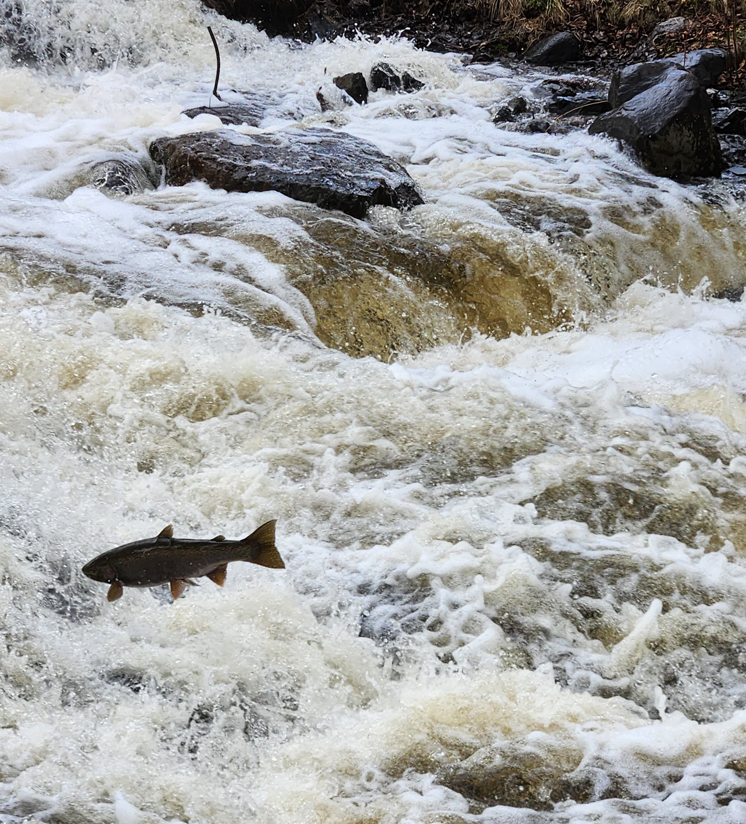A Guide to the Best Places to Fish in and Around Thunder Bay | Northern ...