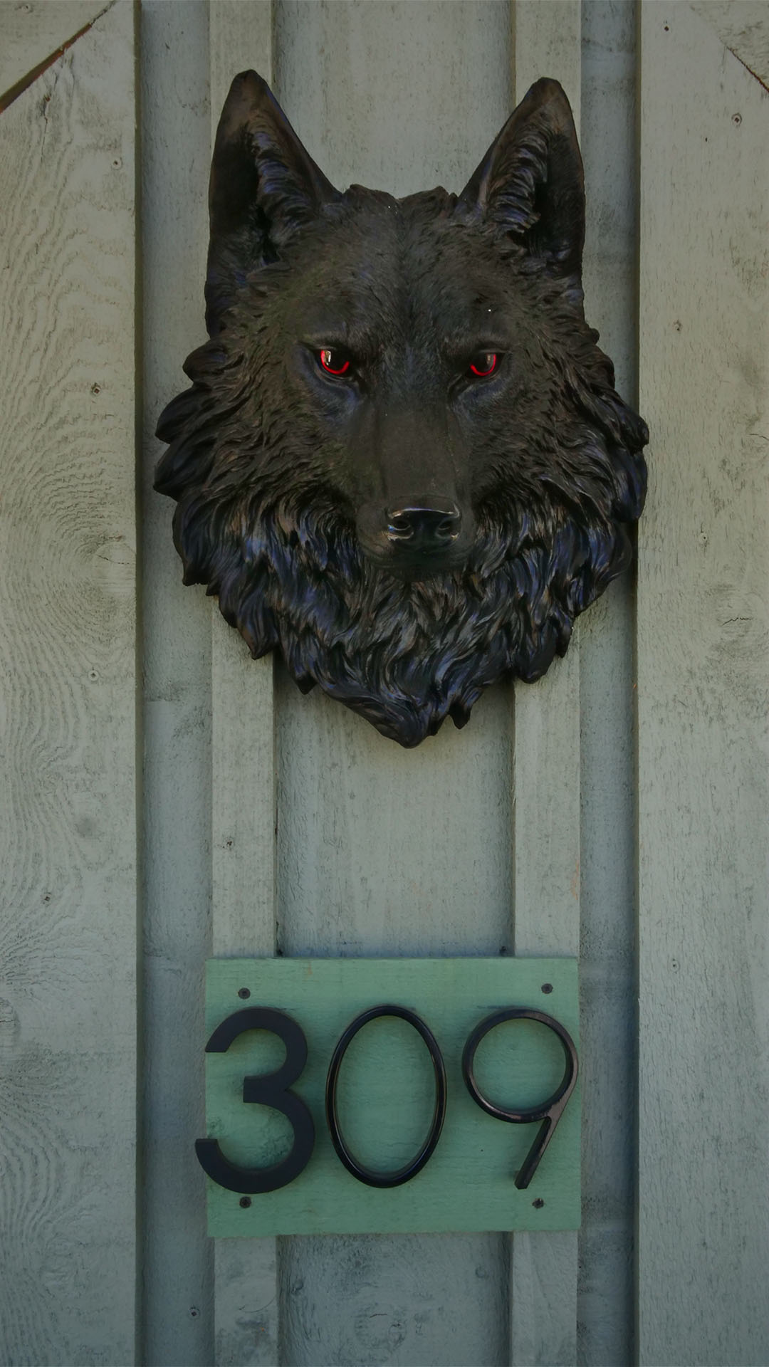 Sleeping With the Wolves at Cedar Meadows in Timmins | Northern Ontario ...