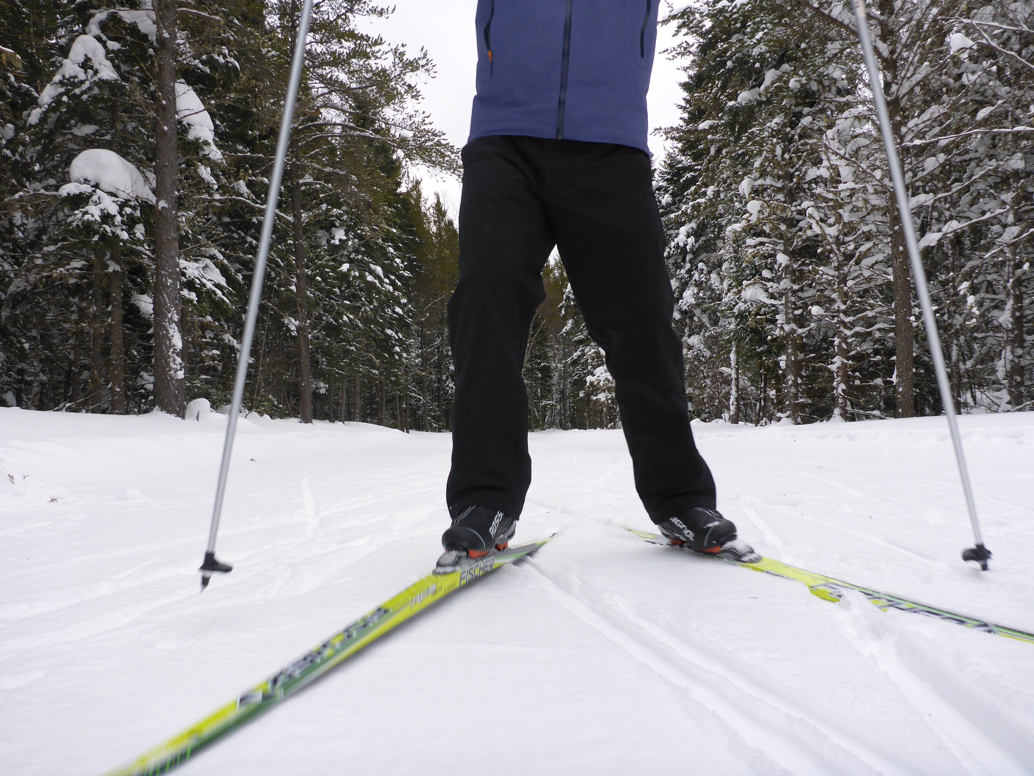 Experience Skiing and Snowshoeing in Marathon | Northern Ontario Travel