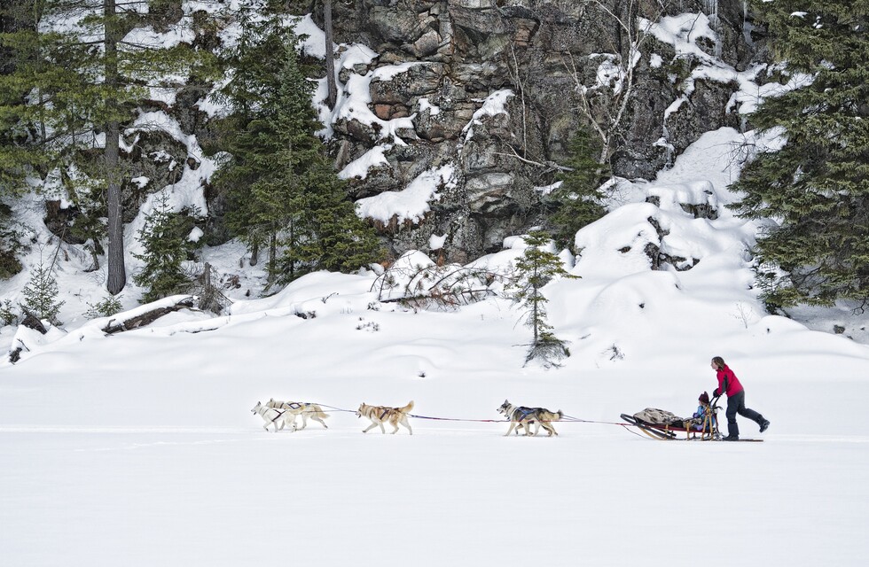 Interesting Facts About Dog Sledding | Northern Ontario Travel