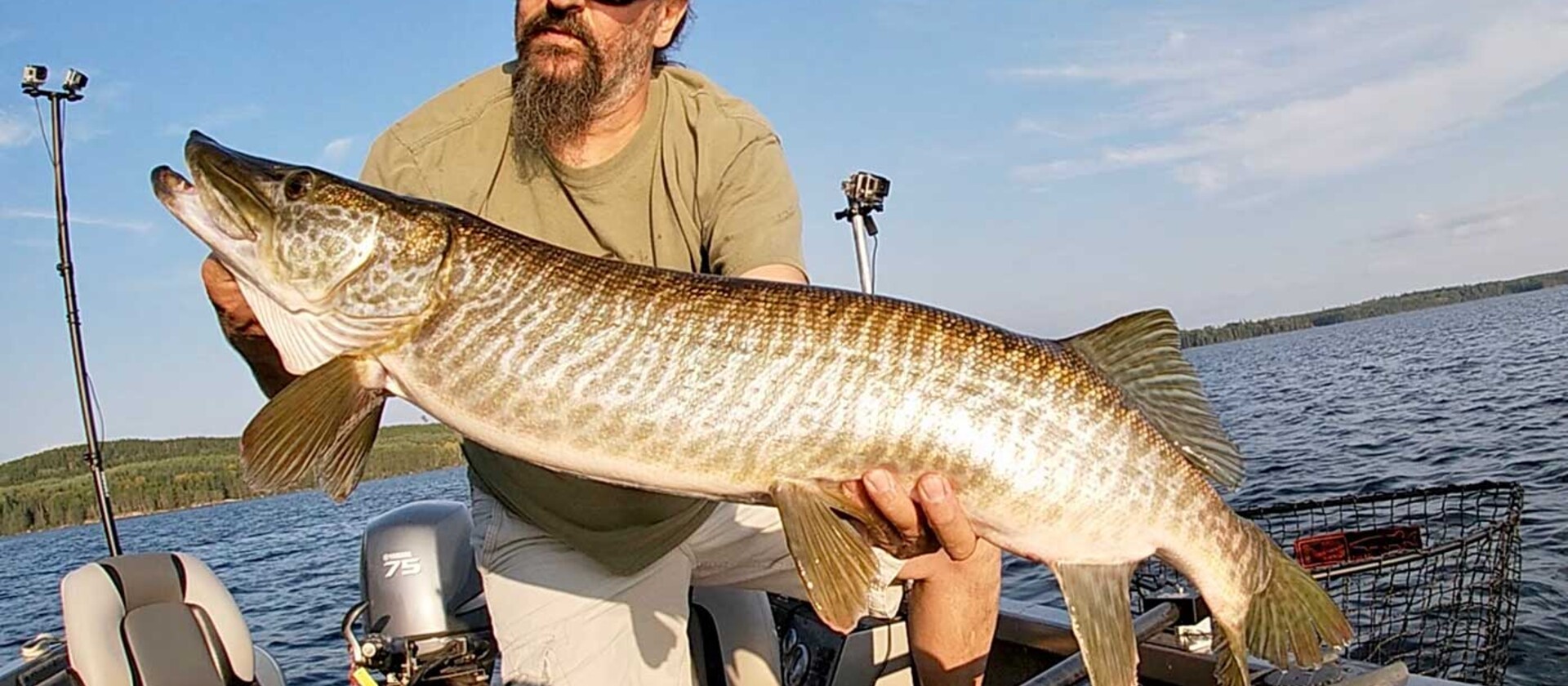Tiger Musky Fishing In Sunset Country | Northern Ontario Travel