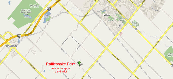 Find out why Christa Niravong loves to "Rock and Rope" | Northern ...