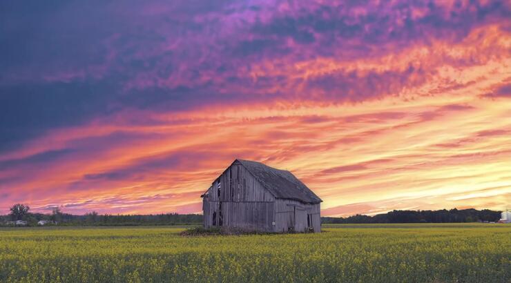 Biodiversity in Northwestern Ontario | Northern Ontario Travel