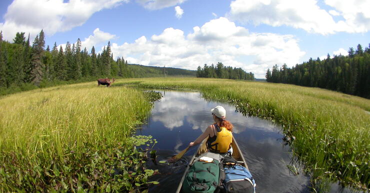 Canadian Canoe Culture is Serene Paddling Routes in Ontario's ...