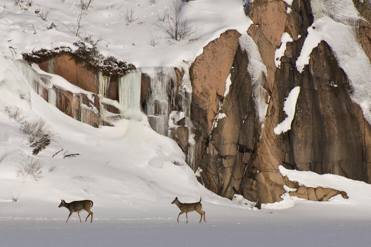 30 Images Proving that Northeastern Ontario is the Most Beautiful Place ...