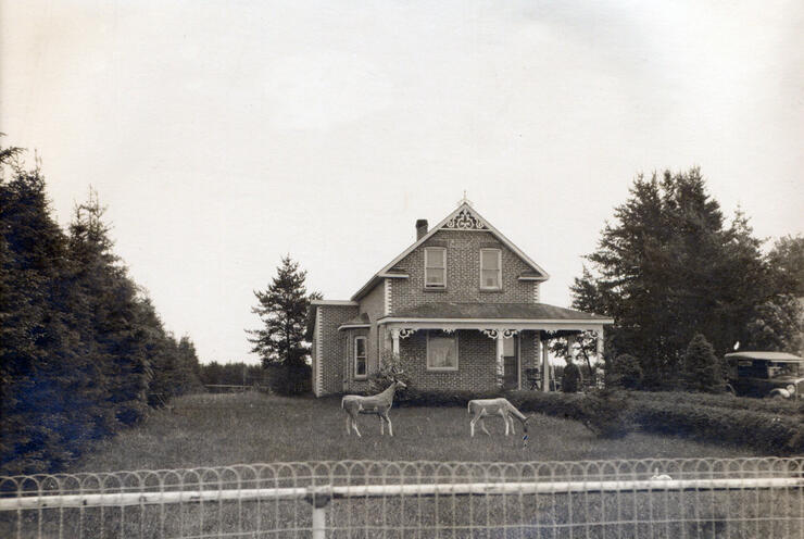 Dryden and District Museum Historical Exhibits | Northern Ontario Travel