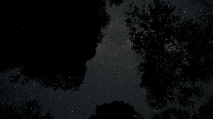 Moosonee Guide: Exploring James Bay | Northern Ontario Travel