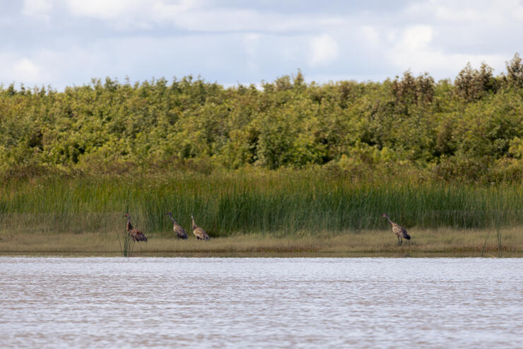 Moosonee Guide: Exploring James Bay | Northern Ontario Travel