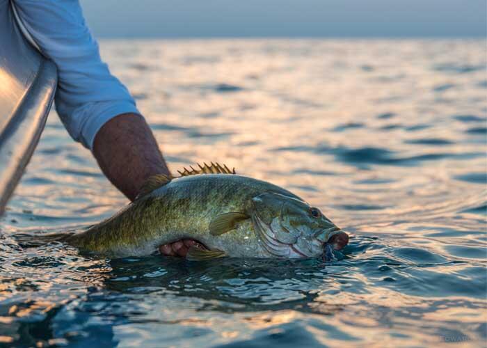 How to Take Fish Pictures Like A Pro | Northern Ontario Travel