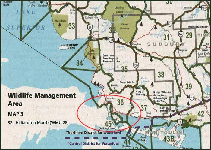 Where to Wild Turkey hunt in Ontario's Algoma Country | Northern ...