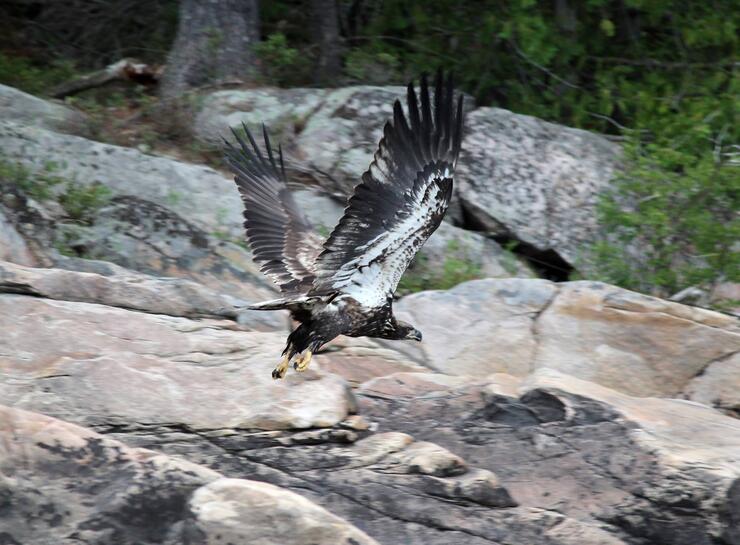 How to Cut Down on Litter While in Sunset Country | Northern Ontario Travel