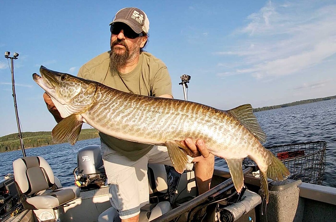 Tiger Musky Fishing In Sunset Country | Northern Ontario Travel
