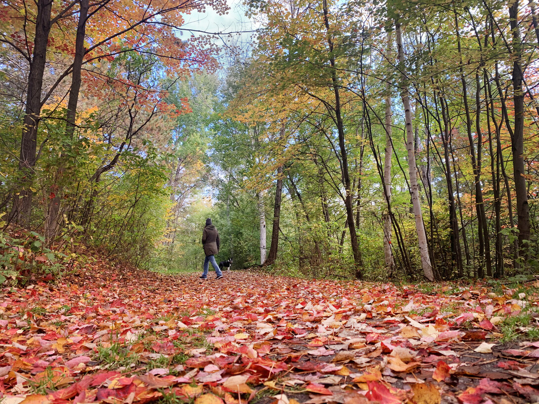 Chasing Fall Colours In Northeastern Ontario | Northern Ontario Travel